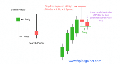 Price Action Trading with Pinbar,Engulfing bar and Inside bar ...
